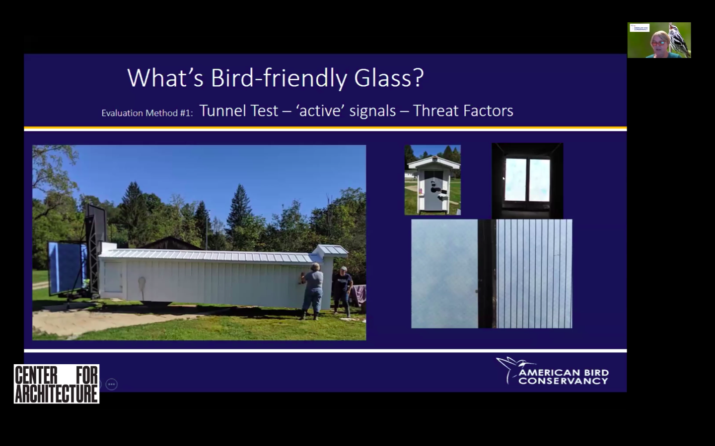 NYC’s Bird-Friendly Building Law: Local Law 15 of 2020 - 11.05.2020 ...