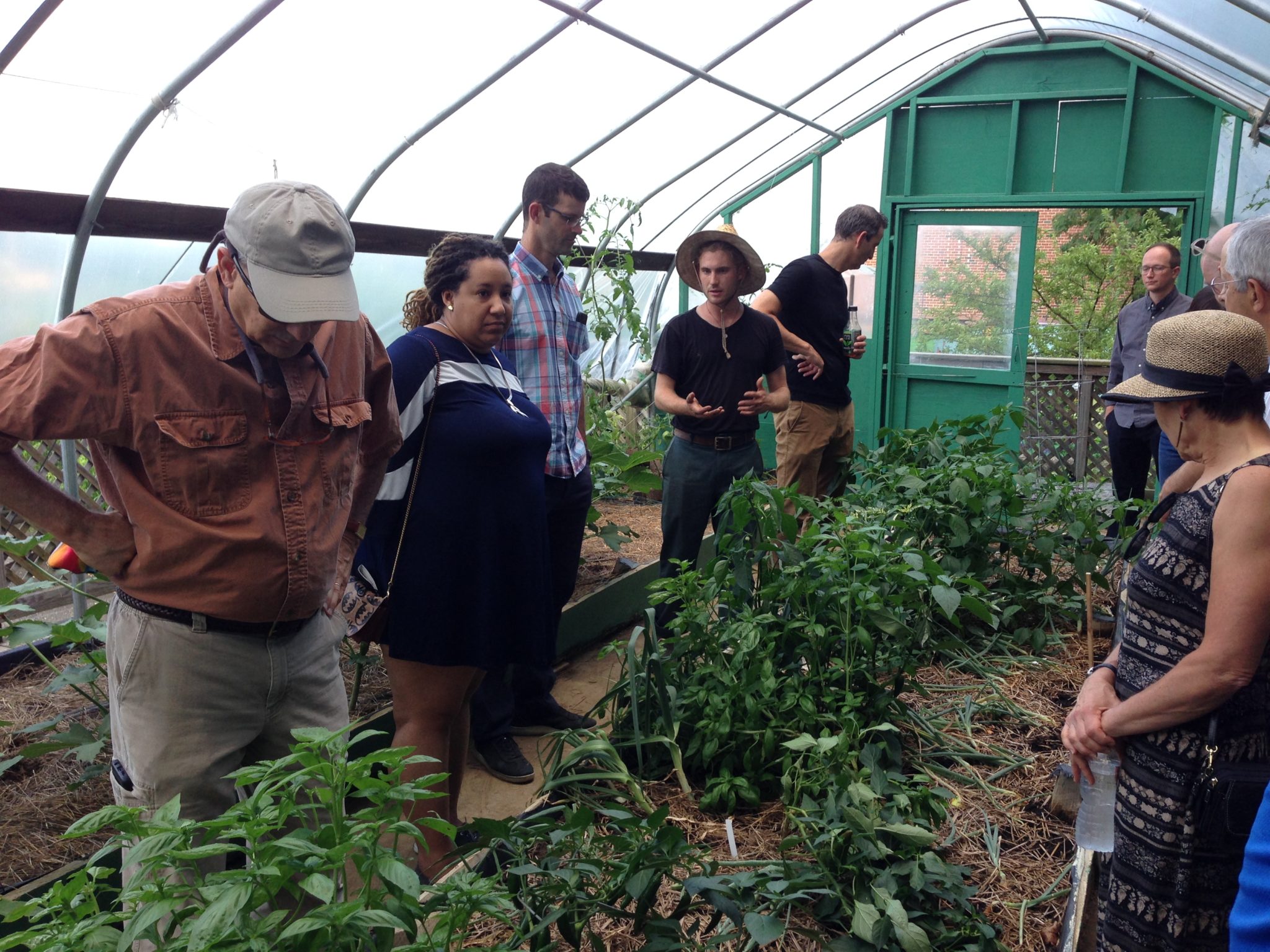 Meet the Community Design Collaborative - Center for Architecture