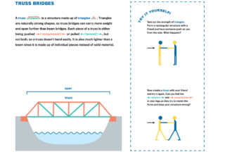 Building Bridges Activity: Beam, Truss, Arch, and Suspension - Center ...