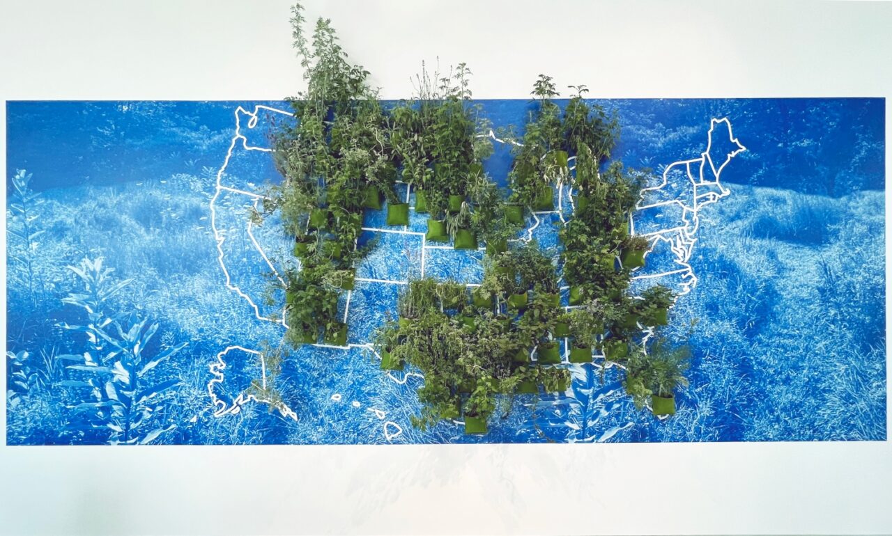 Spatializing Reproductive Justice - Center for Architecture